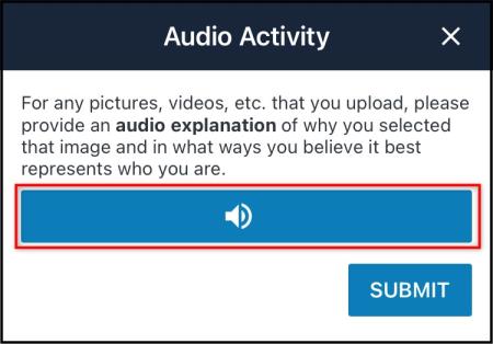 Recording and Uploading Audio to an Activity (Mobile) – Plus Digital ...