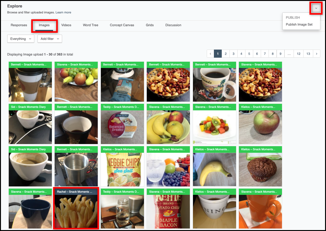 Viewing and Downloading Images – Plus Digital Diaries